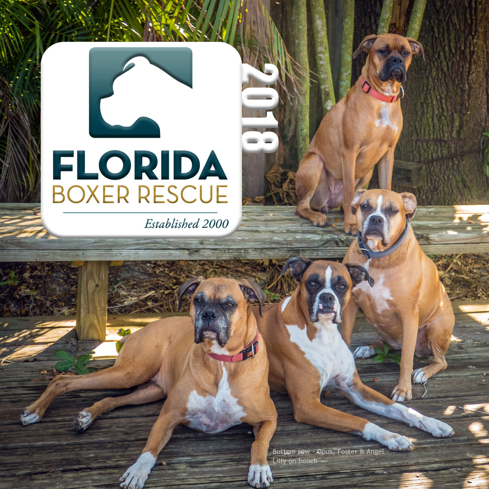 Boxer Calendar – Thank You!